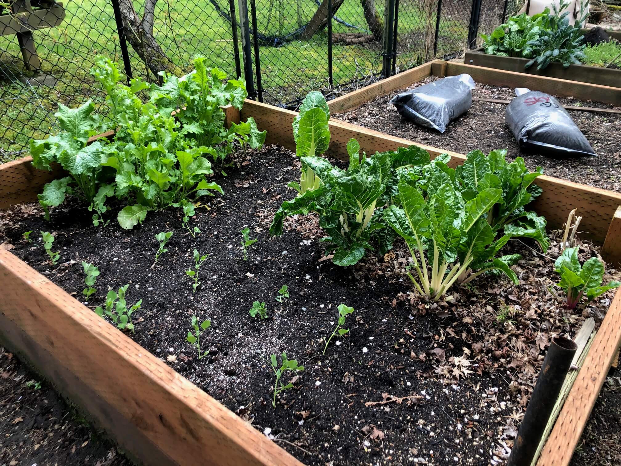 Garden Mapping With Gis “time For Spring Mapping Synthos Your Gis And Mapping Consulting